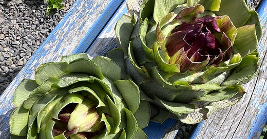 My Orkney Island Life | Rosemary Moon | Substack