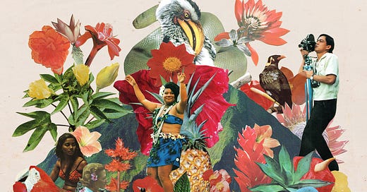 The Flowering Jungle Newsletter | Monster Rally | Substack