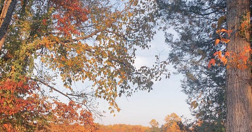 The ALMANAC by Lady Farmer | Mary & Emma Kingsley | Substack