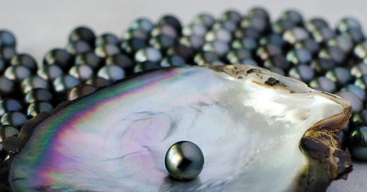 Iridescence: a Color Phenomenon - Color Insider