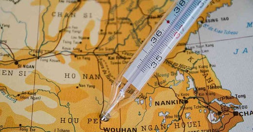 hogehoge’s Substack | Substack