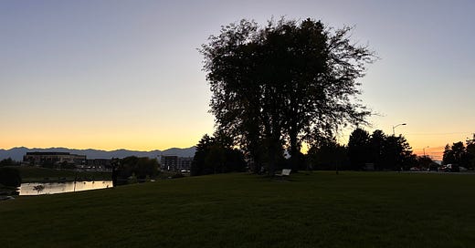 Closely Reading | haley larsen, phd | Substack