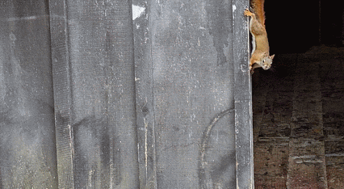 Comments - From Voodoo to Zen and back again - by Con/Jur/d