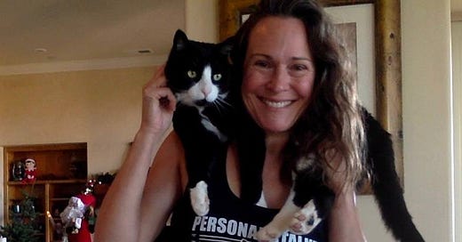 MellowKat's Newsletter | Substack