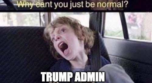 Law and Chaos | Liz Dye | Substack