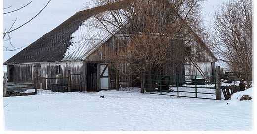 Cecilia at the Kitchen’s Garden Farm | Cecilia At The Kitchens Garden | Substack