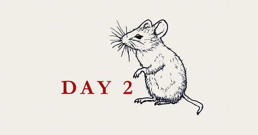 Monica’s Substack | Monica Padman | Substack