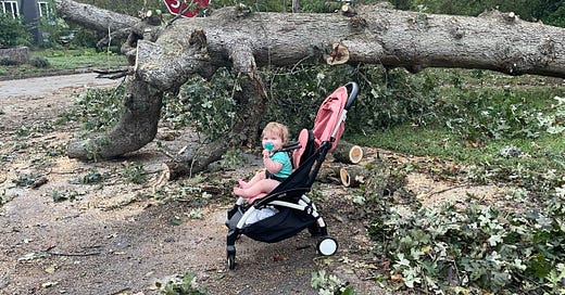 Both Are True | Alex Dobrenko` | Substack