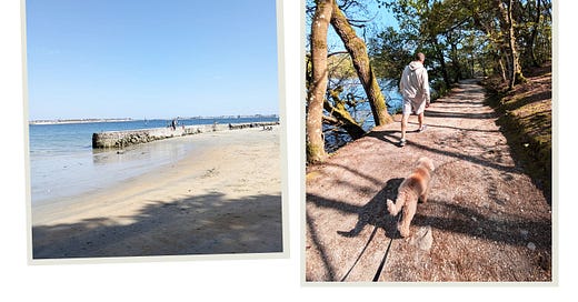 A Table in France | Audrey Le Goff | Substack