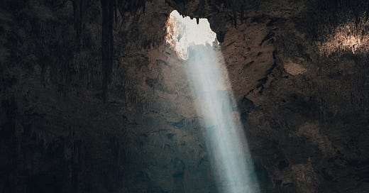 Alice by the Palm | Almer Alice He | Substack