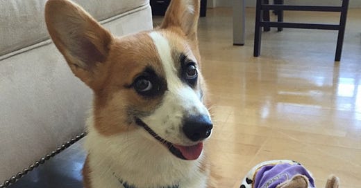 The Uncommon Executive | Yue Zhao | Substack