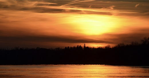 LampPost Victoria | Substack