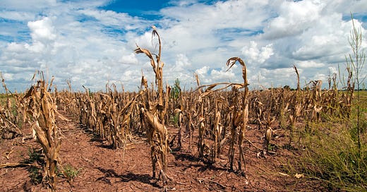 Doomsday Machines | Alex Wellerstein | Substack