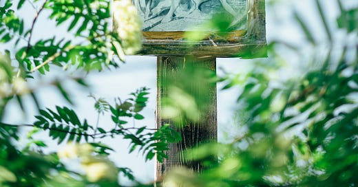 Window Light | Matthew Shadle | Substack