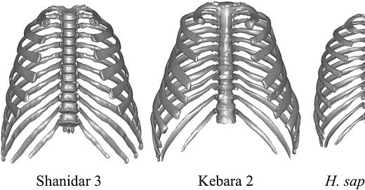 Neanderthal Physique: Rethinking Strength and Adaptation Through ...