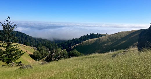 Bell Tower | Sommer Schafer | Substack