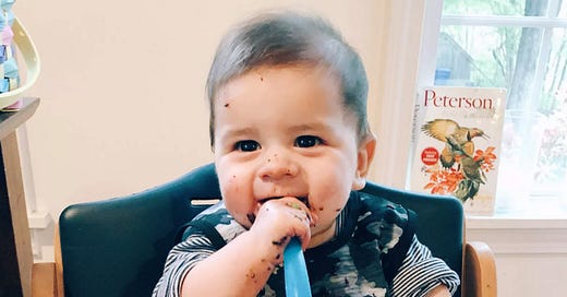 That Practical Mom | Substack