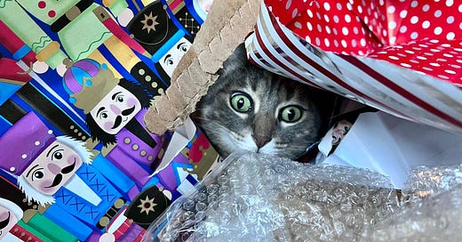 Hello. This Cat. | Substack