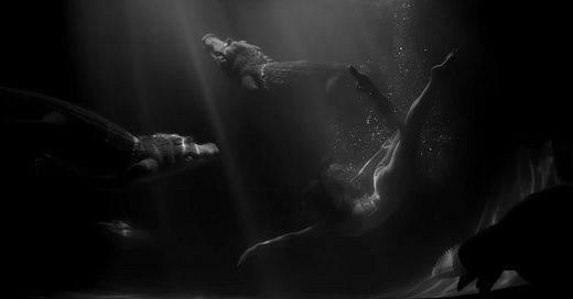 veleidade. | anna carolina souza | Substack