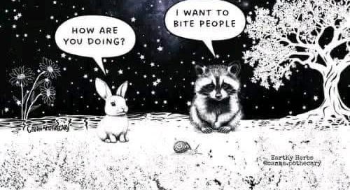 Think Future | Cassidy Steele Dale | Substack