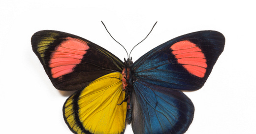 Astro Poets | Substack