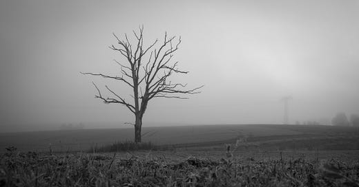 Through the Fog, by Elliot Kirschner | Substack