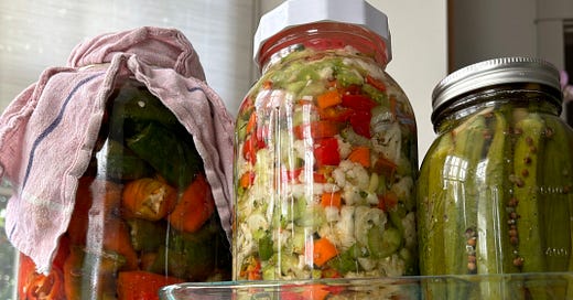 Preserving the South | April McGreger | Substack