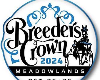 In the Money Media Harness Players Newsletter | Mike Pribozie | Substack