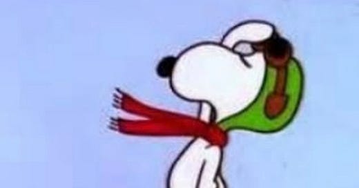 In Moderation | Ally Rose | Substack