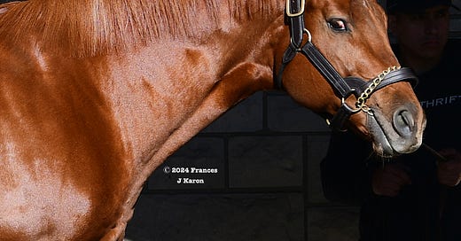 Sons of Candy Ride firing on all cylinders