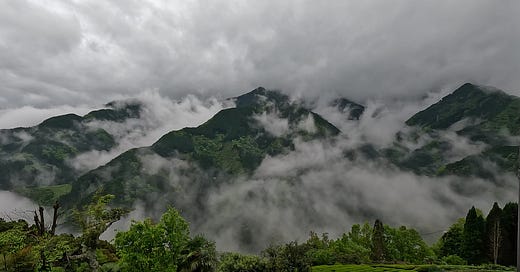 The Carpet | Stephanie | Substack