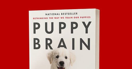 The Nicholberry Dispatch | Kerry Nichols | Substack