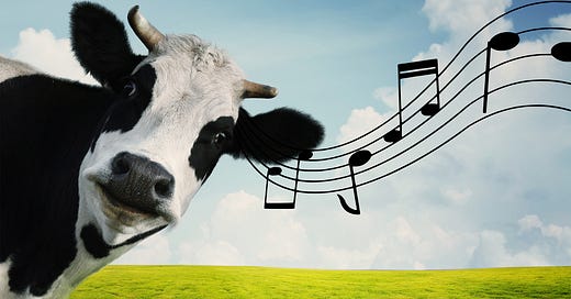 Why cows love to jazz it up - by Jaylan Sims - Eco Compass