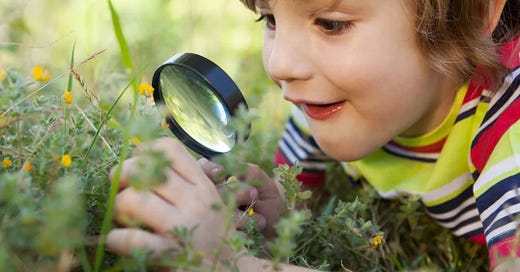 On the Rocks | Matthew Fray | Substack