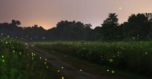 Trilogy | Barbara Mullen | Substack