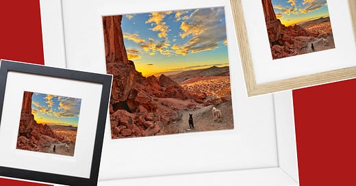 Tom Ryan, Author | Substack