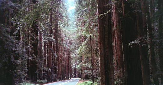 Human Stuff | Lisa Olivera | Substack