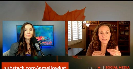 FM8’s Substack | Substack