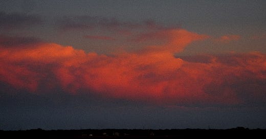 Border Co. | J. Bowyer | Substack