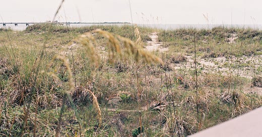 cuídate | Josefina H | Substack