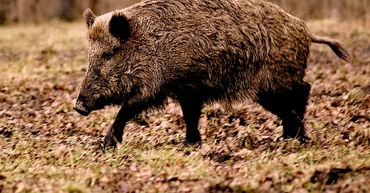 Mental Hellth | P.E. Moskowitz | Substack