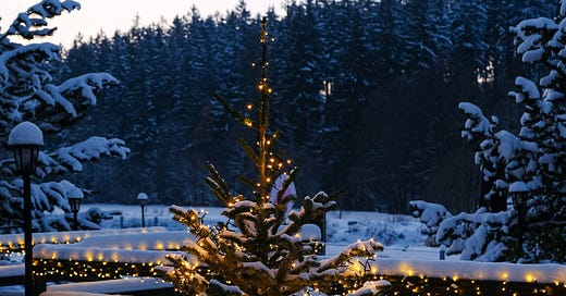 The Half Marathoner | Terrell Johnson | Substack