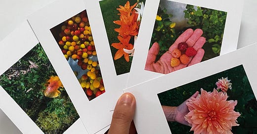 Starhan Garden | Substack