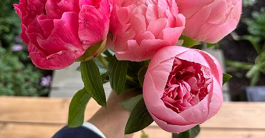 Echoes + Evidence | Ali Edwards | Substack