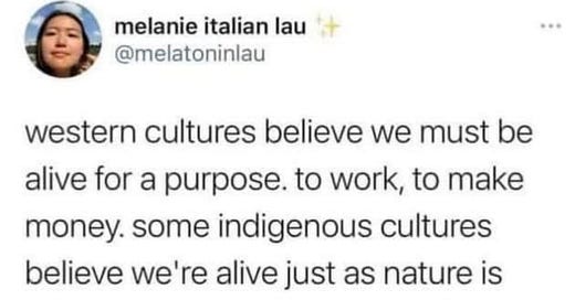 The Liberation Collective from Chrissy King | Substack