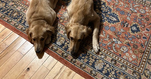 Gray's Voice | Connie Gray | Substack