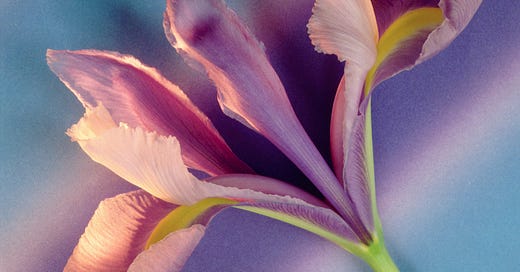 Astro Poets | Substack