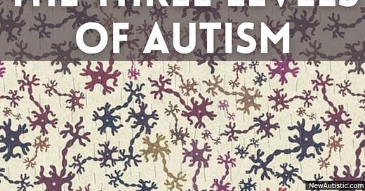 The Three Levels of Autism - by Skylar Aries - New Autistic
