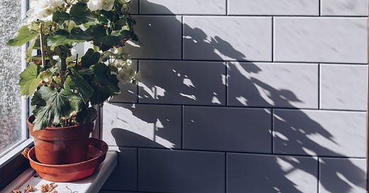 haver & sparrow | Charlene Storey | Substack