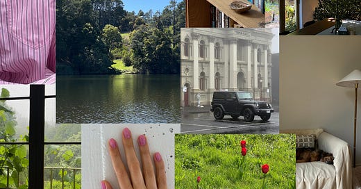 In appreciation | Clara McKay | Substack